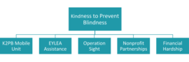 Community Outreach | Kindness to Prevent Blindness | Boling Vision